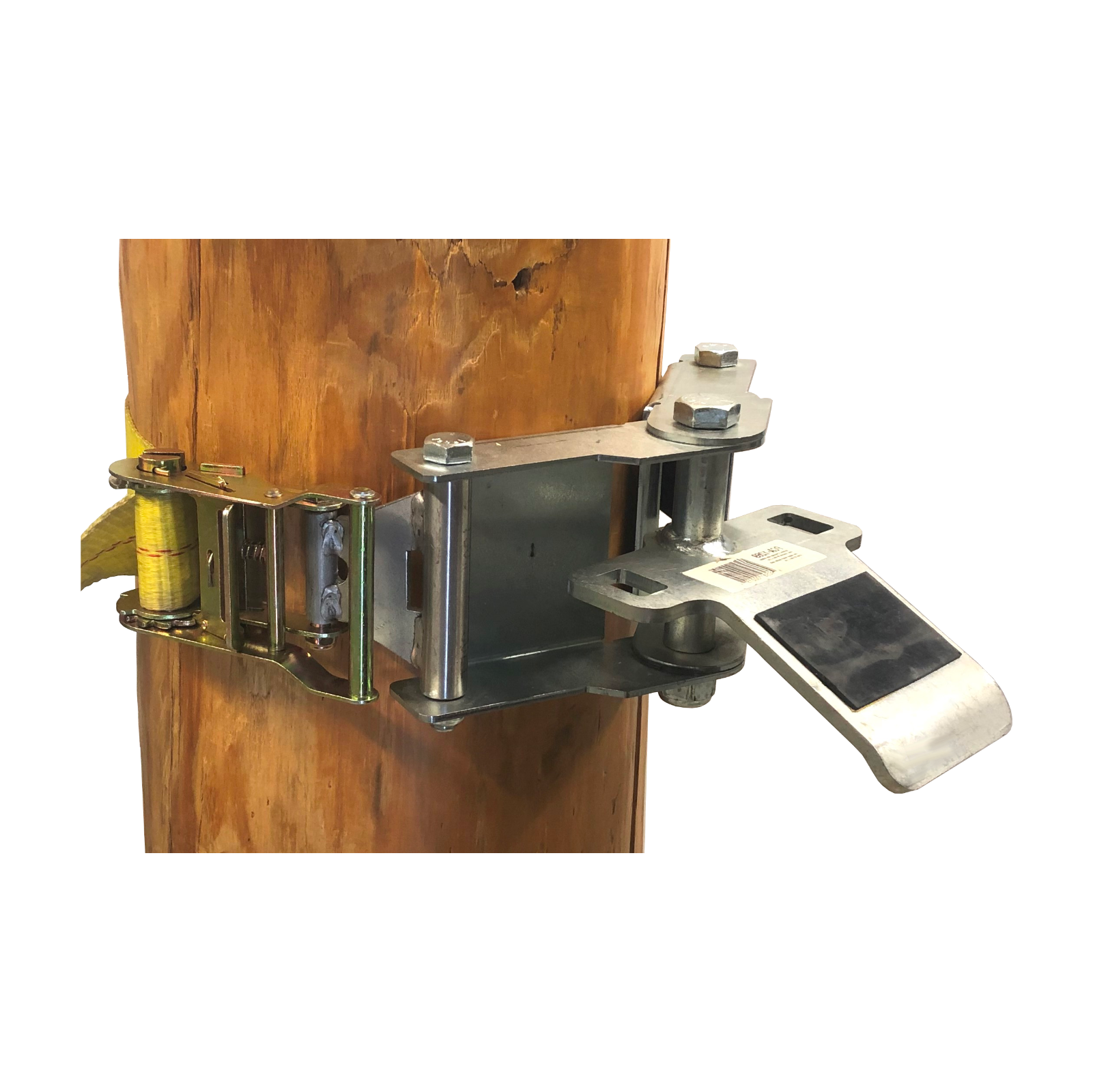 Tree-mount Winch Anchoring System